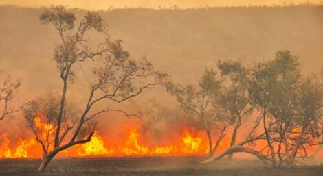 Fire Fighting Knapsack | On Sale Now | Bushfire Store