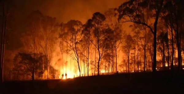 How To Prepare Your Property And Survive A Bushfire